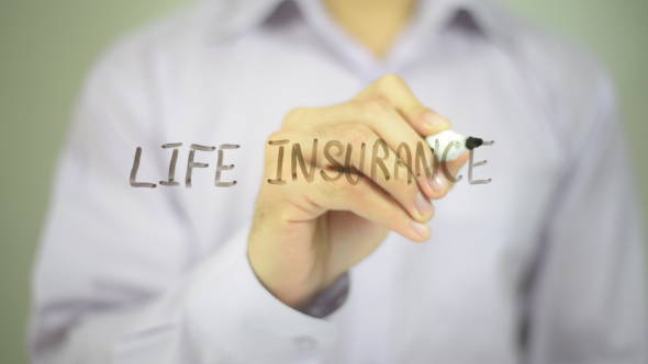 Life Insurance, Stock Footage | VideoHive