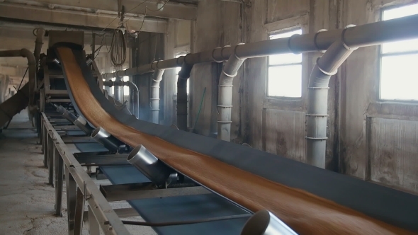 Corn Processing Factory, Food Industry, Stock Footage | VideoHive