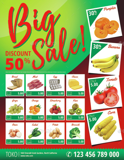 Product Promotion Flyer, Print Templates | GraphicRiver