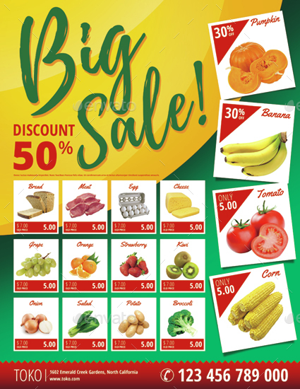 Product Promotion Flyer, Print Templates | GraphicRiver