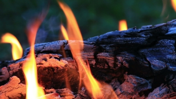 Beautiful Fire Flames In Nature, Stock Footage | VideoHive