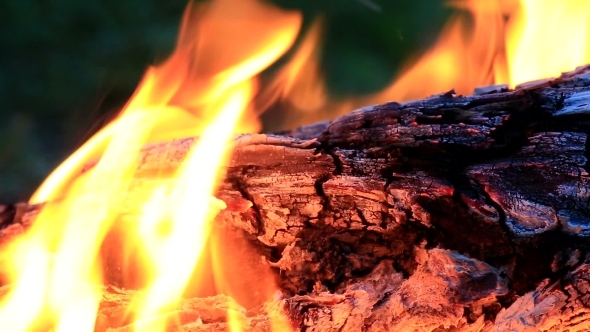 Beautiful Fire Flames In Nature., Stock Footage | VideoHive