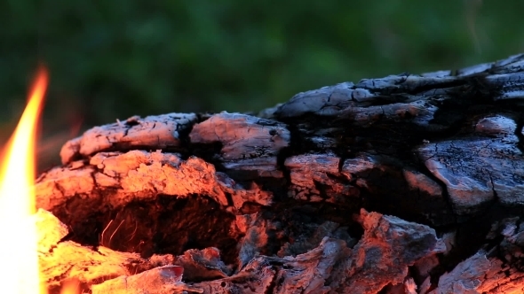 Beautiful Fire Flames In Nature, Stock Footage | VideoHive
