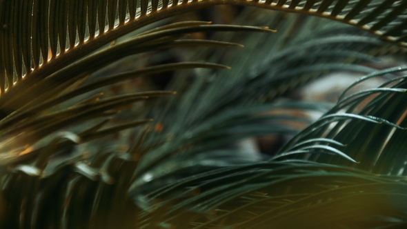 Future Camera HUD Elements by VisualGear | VideoHive