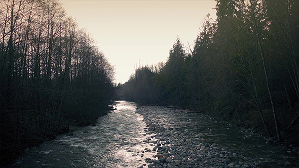 River Through Forest At Dusk, Stock Footage | VideoHive