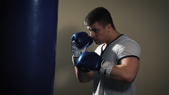 Male Boxer At The Gym Hitting The Punching Ball, Stock Footage | VideoHive