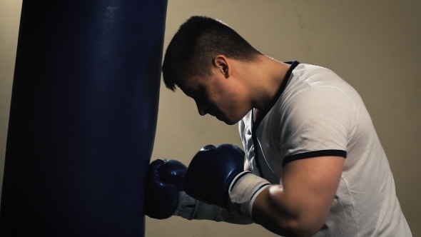Male Boxer At The Gym Hitting The Punching Ball, Stock Footage | VideoHive