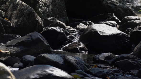 Streamlet Waterfall On Rock, Stock Footage | VideoHive