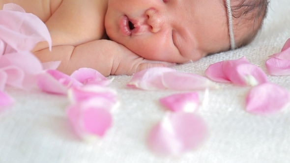 Cute Newborn Baby Girl Sleeping, Stock Footage | VideoHive