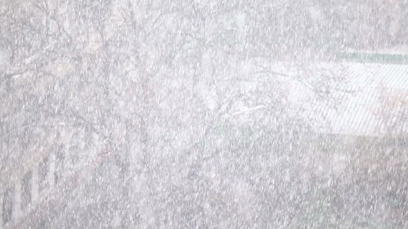 Background Of Snow Fall Blowing Fast In Winter Blizzard, Stock Footage