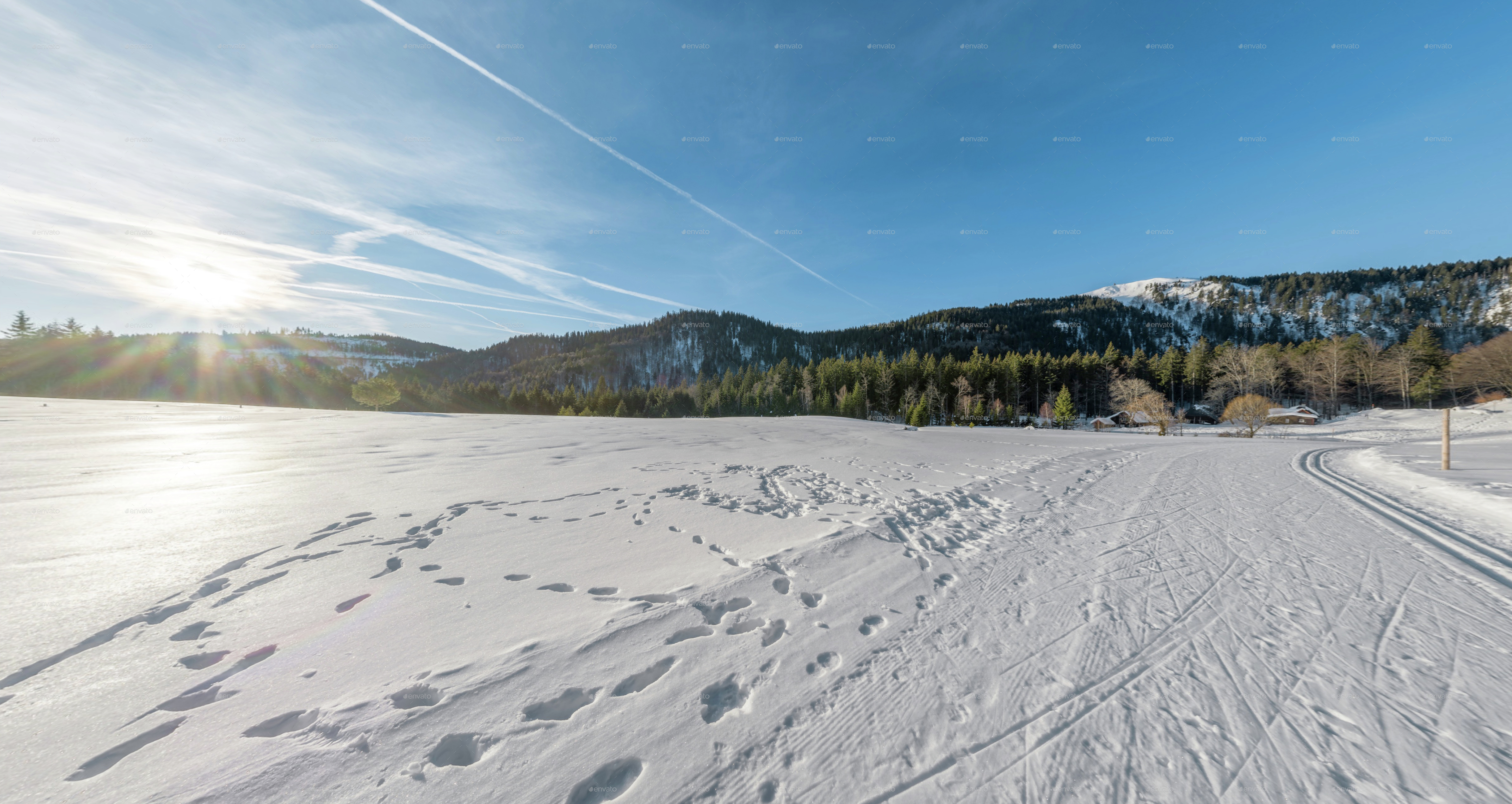 MW3DHDR0033 Highres Winter Snow HDRI Set + 2 Render Setups for Cinema ...