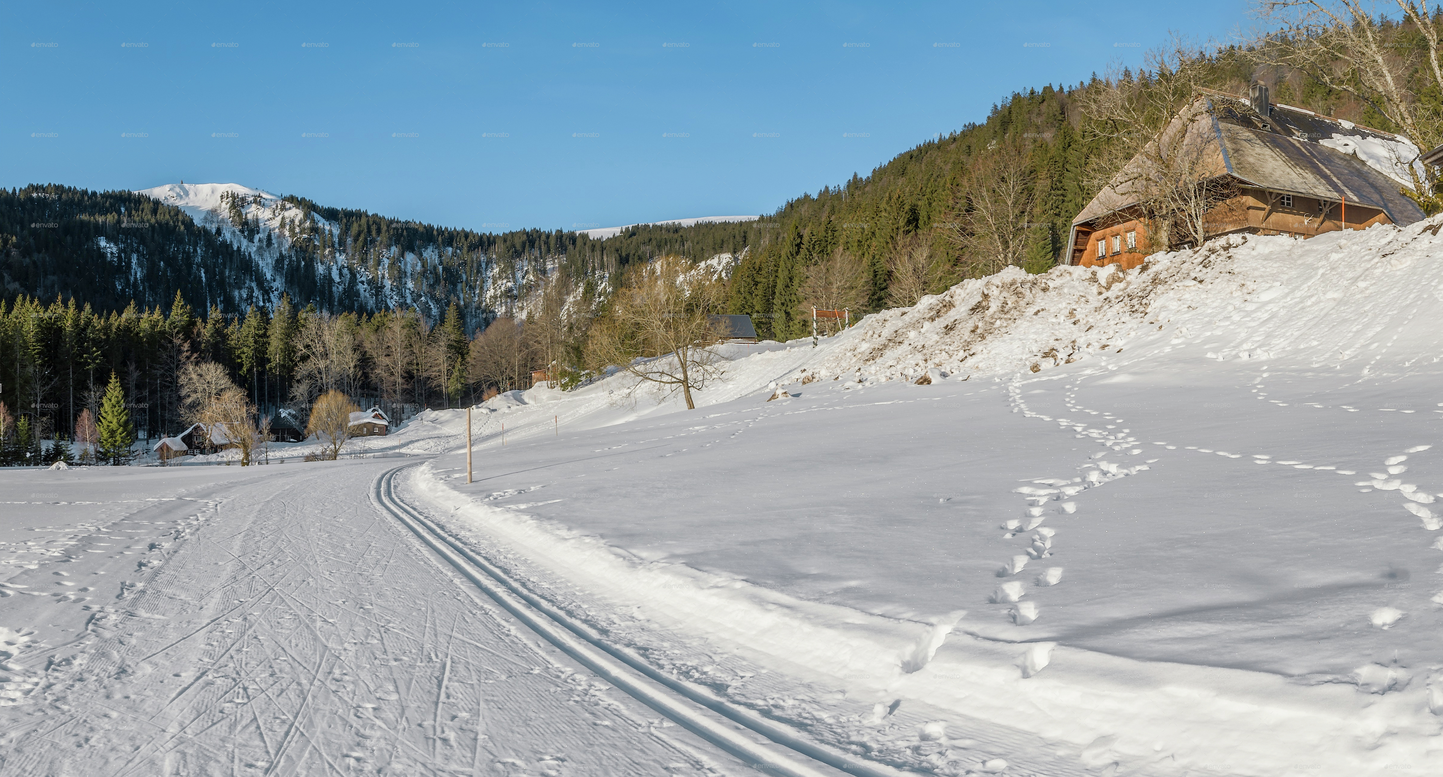 MW3DHDR0033 Highres Winter Snow HDRI Set + 2 Render Setups for Cinema ...