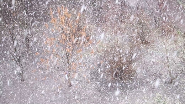 Background Of Snow Fall Blowing Fast In Winter Blizzard, Stock Footage