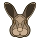 Head of a Rabbit, Vectors | GraphicRiver