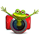Frog in the camera , Graphics | GraphicRiver
