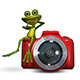 Frog on camera, Graphics | GraphicRiver