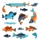 Set of Various Fish, Vectors | GraphicRiver