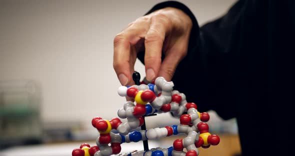 A college science biology professor teaching students the human genome ...