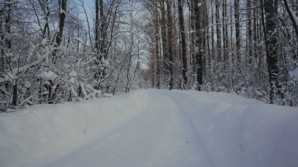 Road Through Snowy Forest, Stock Footage | VideoHive