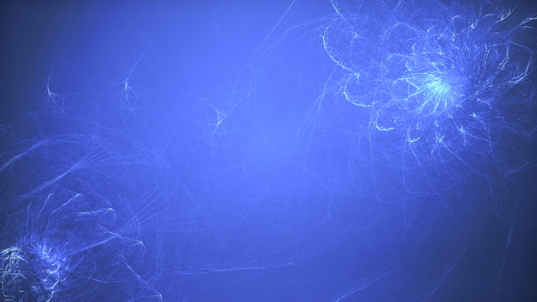 Shell Background, Motion Graphics | VideoHive