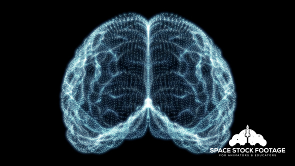 Holographic Particle Brain, Motion Graphics | VideoHive