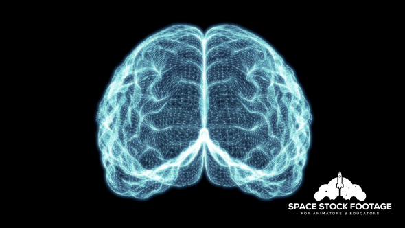 Holographic Grid Brain, Motion Graphics | VideoHive