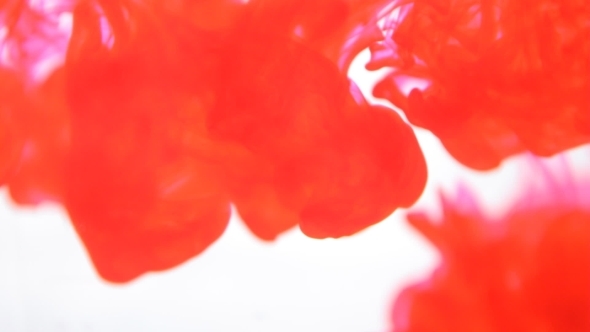 Red Ink Dissolve Slowly In Clear Water, Stock Footage | VideoHive