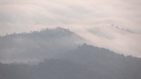 Moving Fog Landscape, Stock Footage | VideoHive