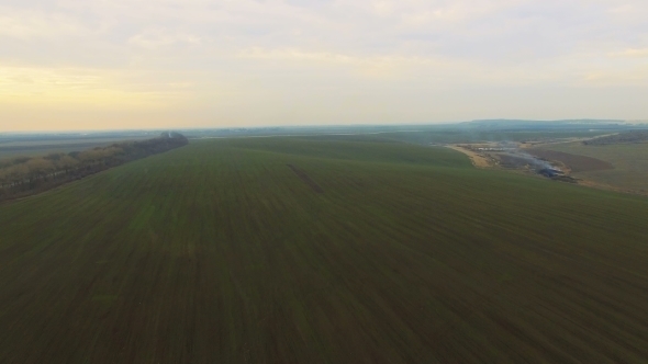 Aerial View Of Field With Wheat, Stock Footage | VideoHive