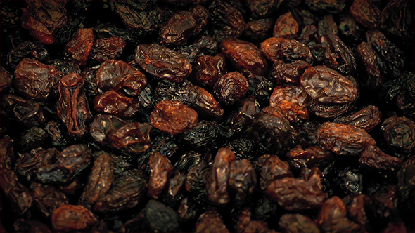 Raisins Rotating, Stock Footage | VideoHive