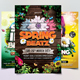 Spring Flyer Bundle V4, Print Templates | GraphicRiver