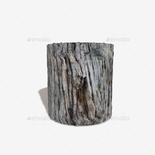 Rotten Wood Seamless Texture by Lucky_Fingers | 3DOcean