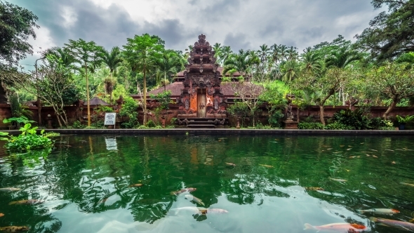 Fish Pond On The Background Of The Temple in Bali, Indonesia, Stock Footage