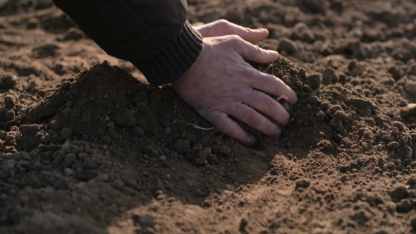 Farmer Hands Holding And Pouring Back Organic Soil, Stock Footage ...