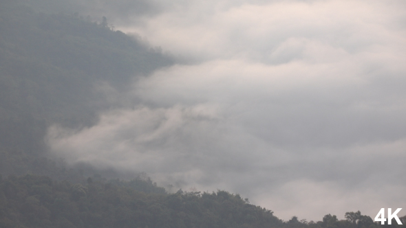 Moving Fog, Stock Footage | VideoHive