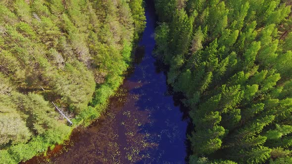 Aerial shot of a river delta, forest and bog in the backround in the ...
