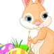 Easter Bunny, Vectors | GraphicRiver