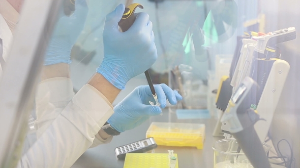 Laboratory Workplace For DNA Test, Stock Footage | VideoHive