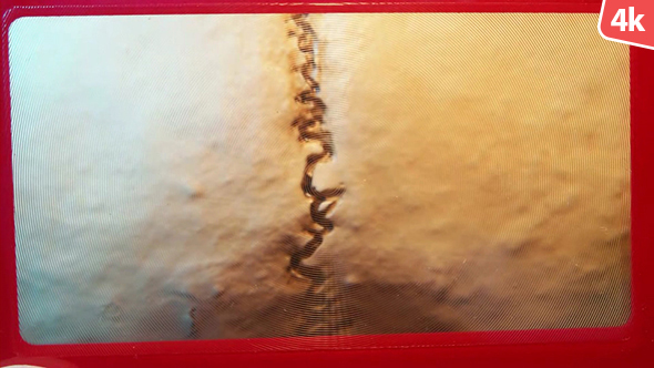 Human Skull 172, Stock Footage | VideoHive