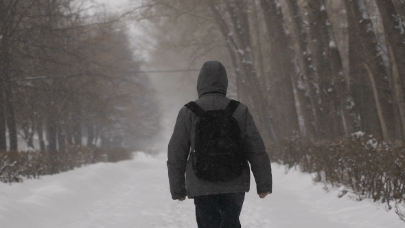 Winter Walkway. Snowfall In The City, a Pedestrian Walkway With Trees ...
