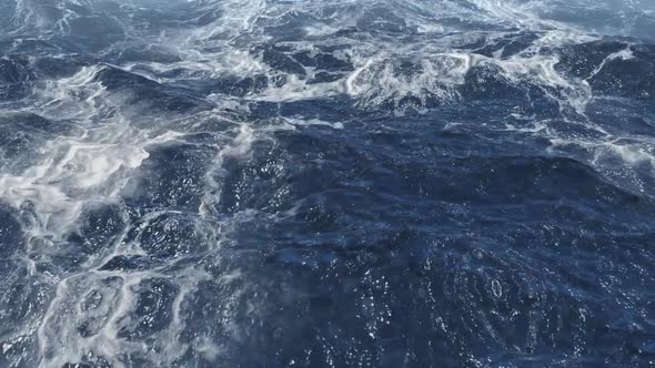 Ocean , Motion Graphics | VideoHive