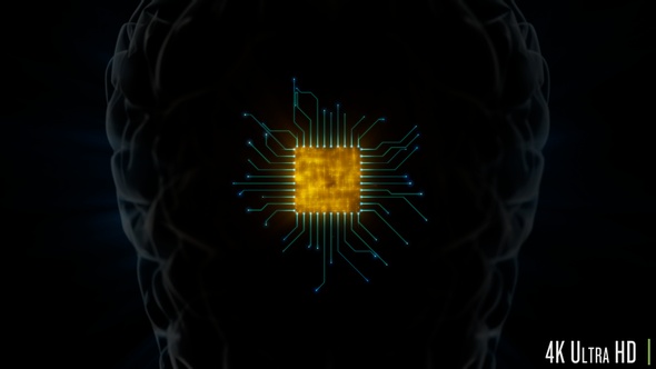 4K Brain Microprocessor Hardware with Connections Concept for ...