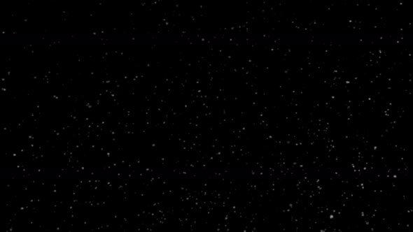 Spider Web by YB-VFX | VideoHive