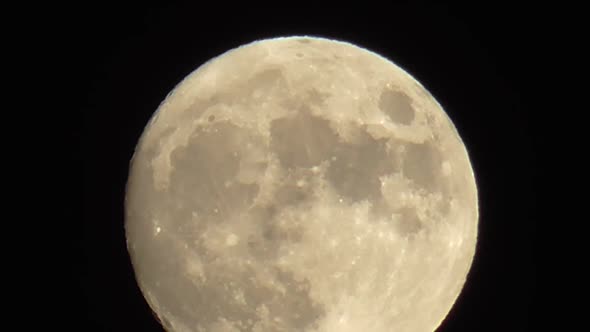 Full Moon rising up detailed., Stock Footage | VideoHive