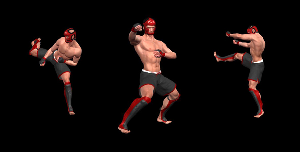 Martial Art - Male Fighter - Combo 01, Motion Graphics | VideoHive