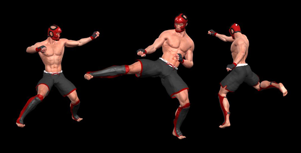 Martial Art - Male Fighter - Combo 04, Motion Graphics | VideoHive