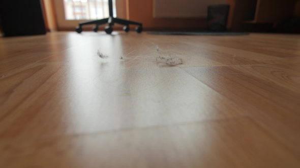 Vacuuming a Mess Floor., Stock Footage | VideoHive