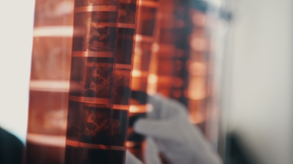 Photographic Film and Woman Hands, Stock Footage | VideoHive