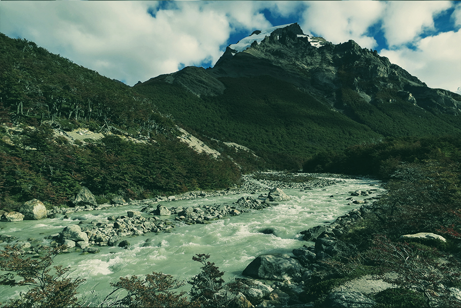 Nature Actions IV, Add-ons | GraphicRiver