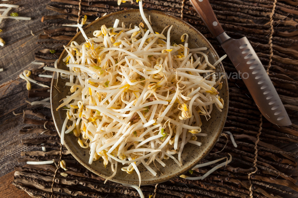 Raw Healthy White Bean Sprouts Stock Photo by bhofack2 | PhotoDune